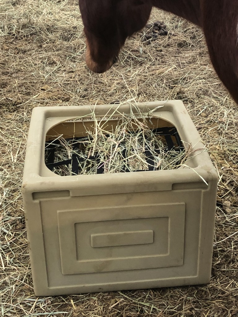 Slow Feeders – ZW Ranch