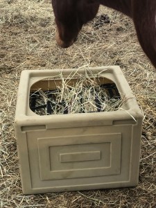 Slow Feeders – ZW Ranch